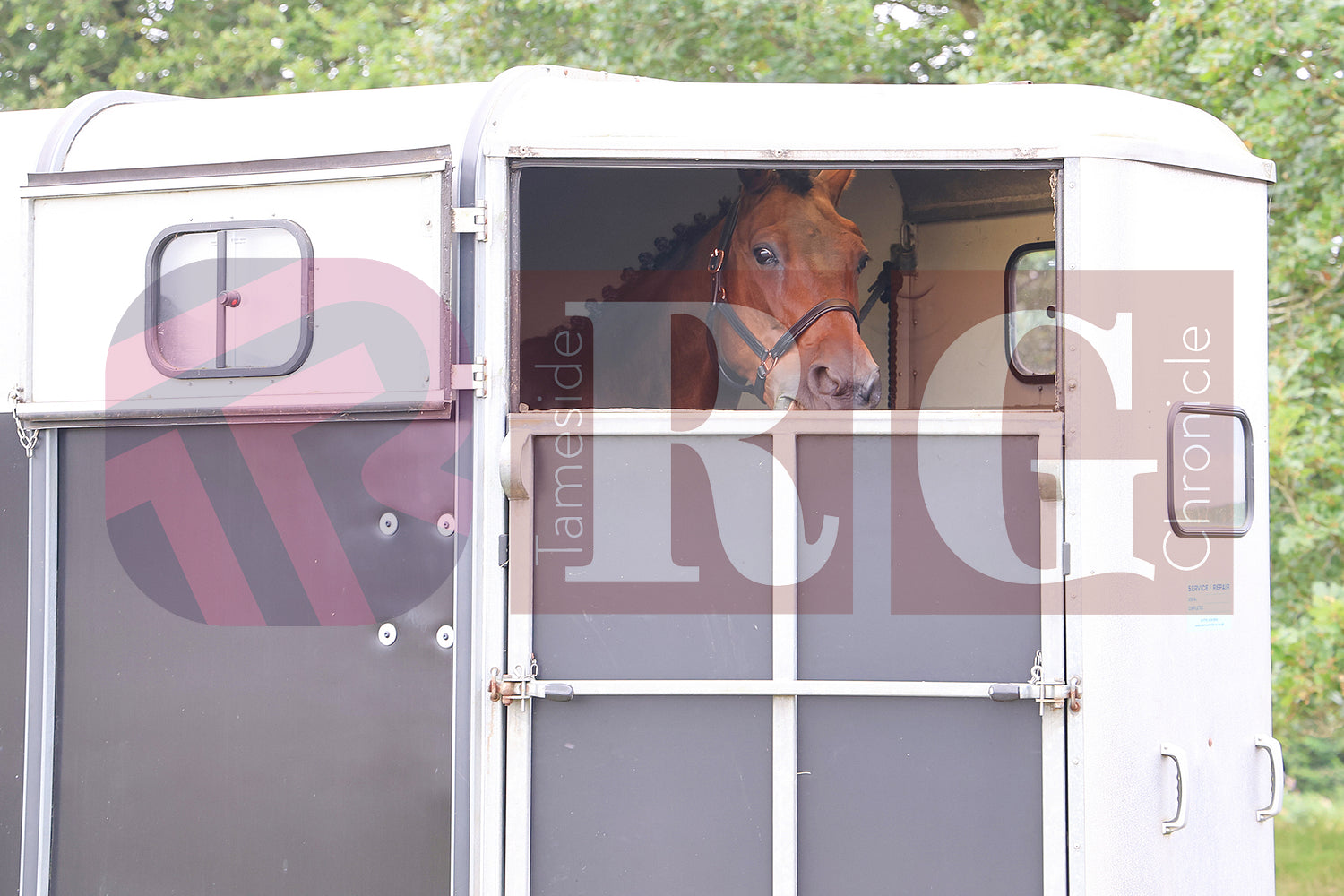 MOTTRAM SHOW 2024 (84).JPG – Digital Photos