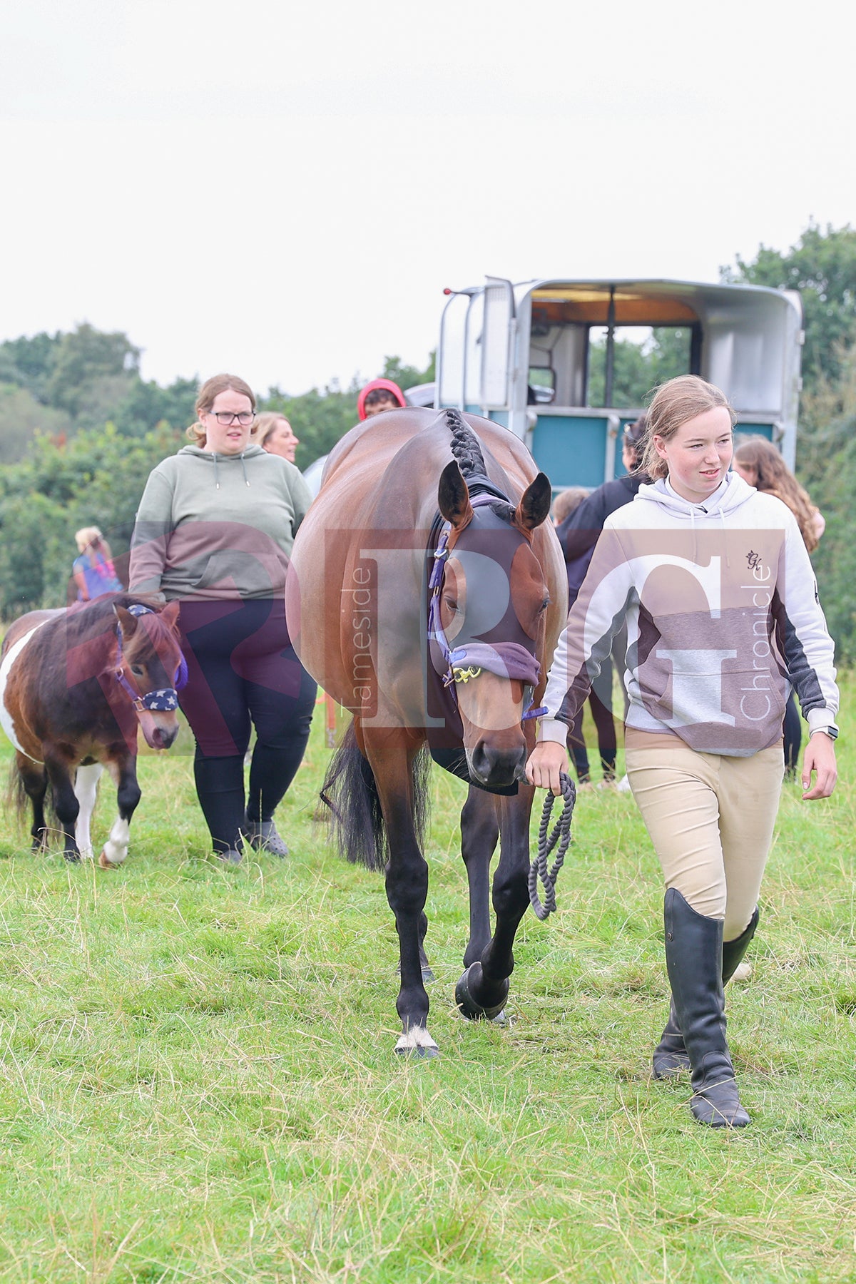 MOTTRAM SHOW 2024 (93).JPG – Digital Photos