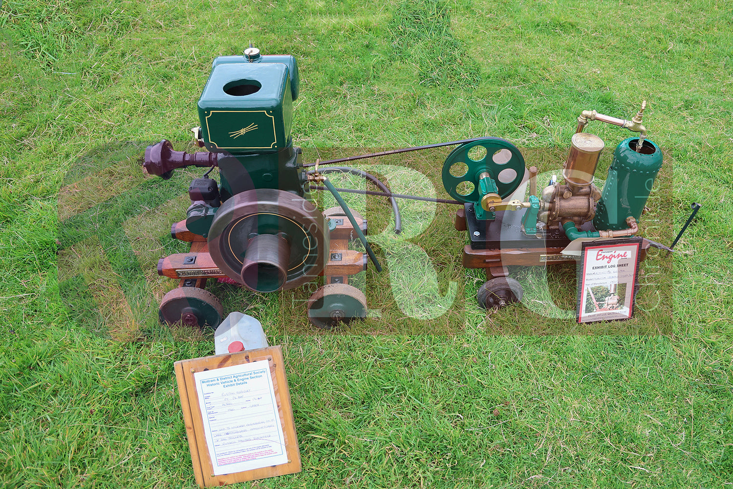 MOTTRAM SHOW 2024 (13).JPG – Digital Photos