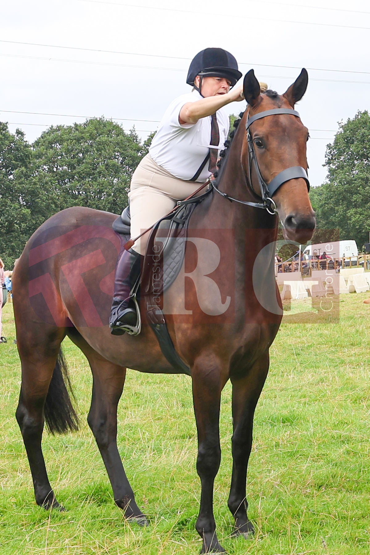 MOTTRAM SHOW 2024 (102).JPG – Digital Photos
