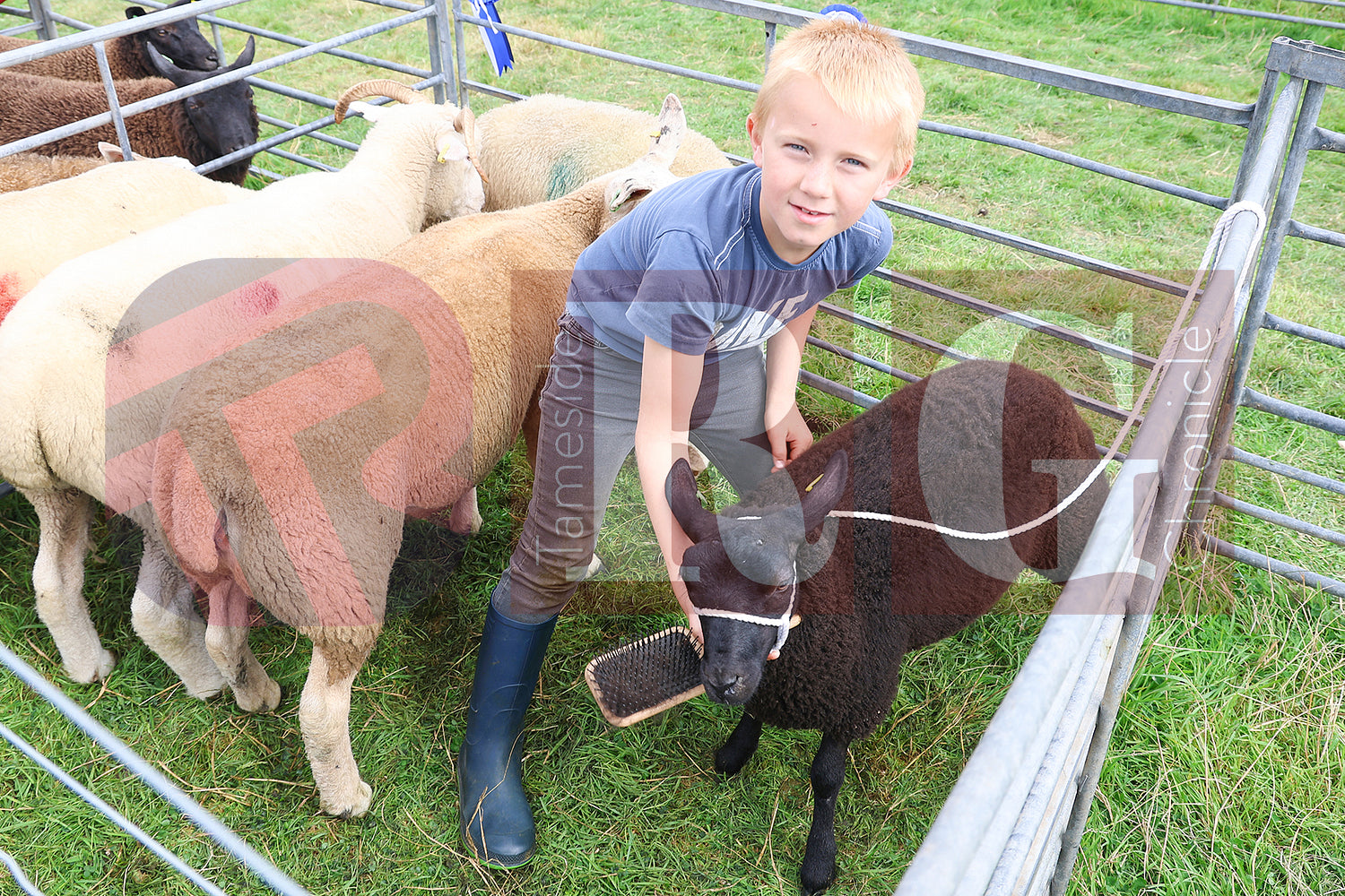 MOTTRAM SHOW 2024 (132).JPG – Digital Photos