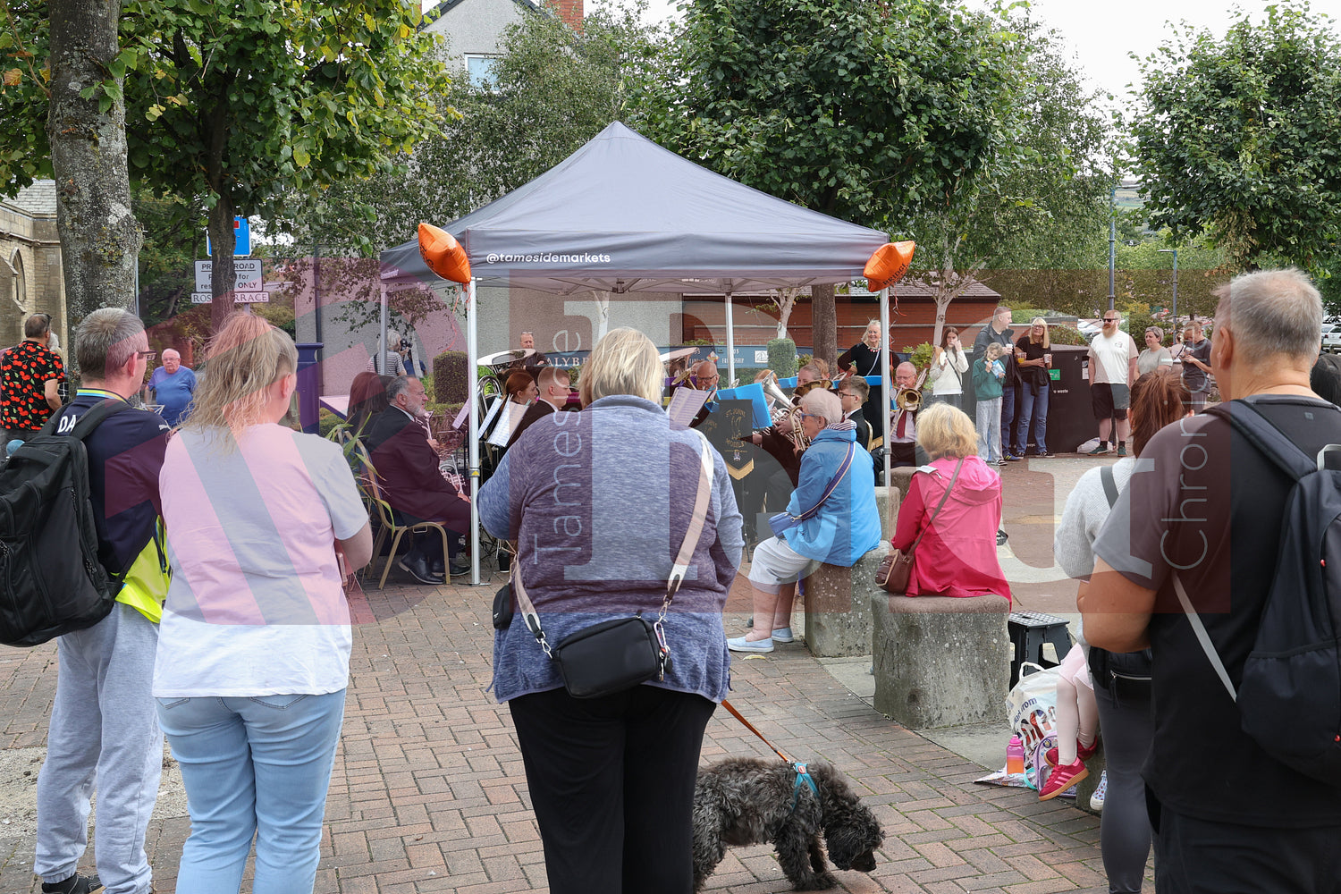 BRIDGE FEST 2025 (14).JPG – Digital Photos