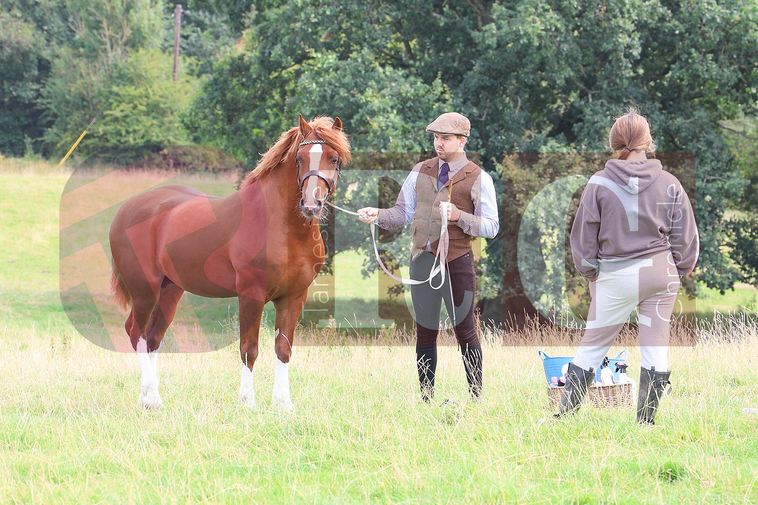 MOTTRAM SHOW 2024 (116).JPG – Digital Photos