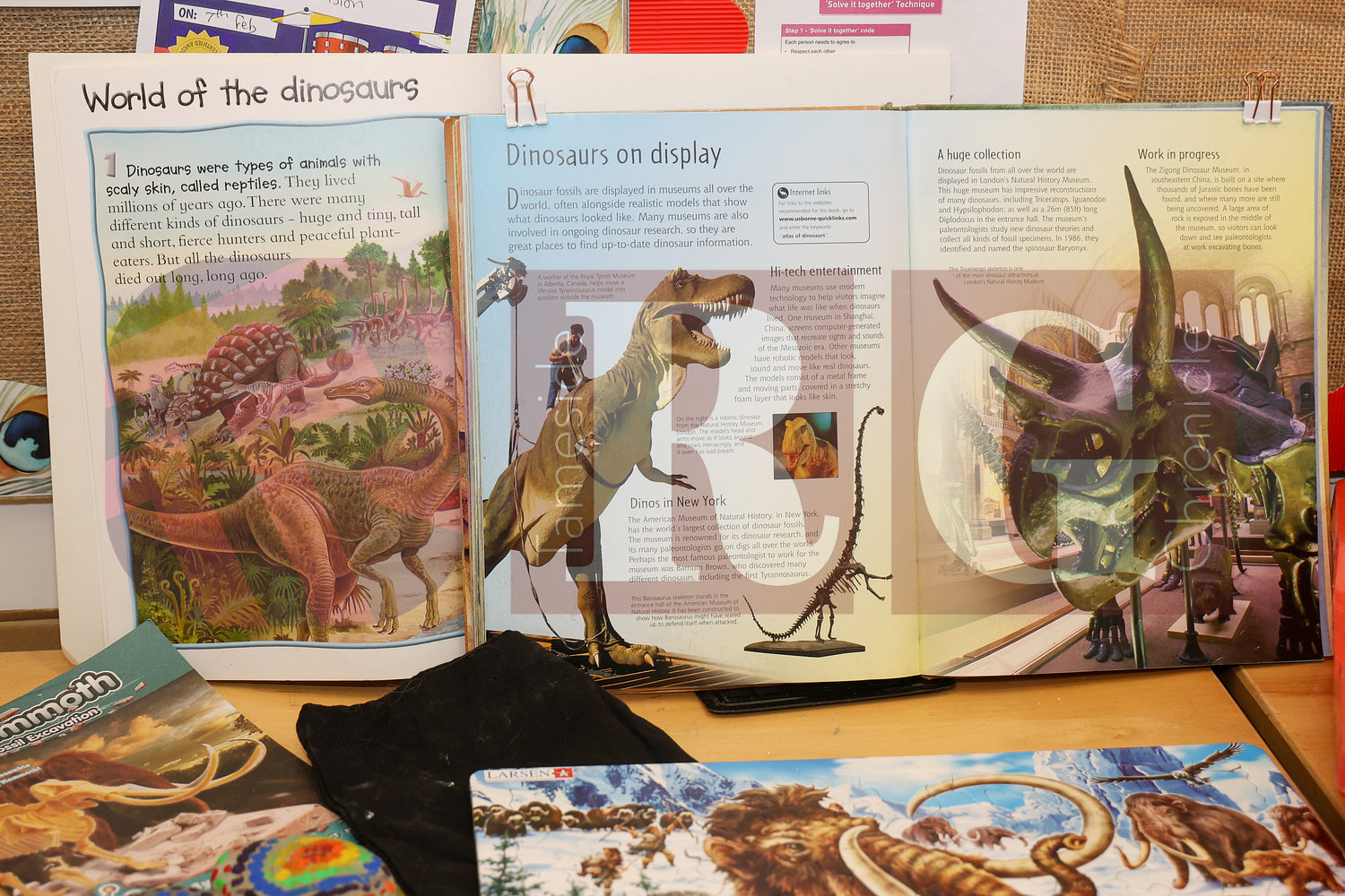 WILD BANK WORLD BOOK DAY 2025 (10).JPG – Digital Photos