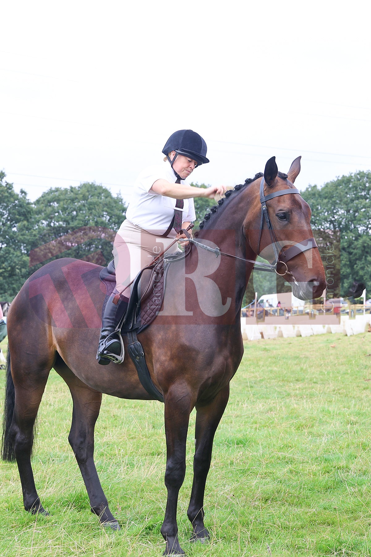 MOTTRAM SHOW 2024 (103).JPG – Digital Photos