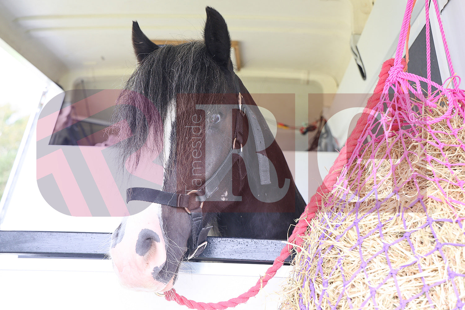 MOTTRAM SHOW 2024 (118).JPG – My Store