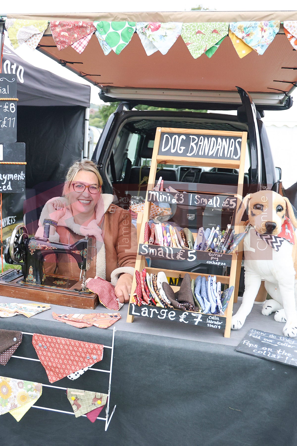MOTTRAM SHOW 2024 (21).JPG – Digital Photos