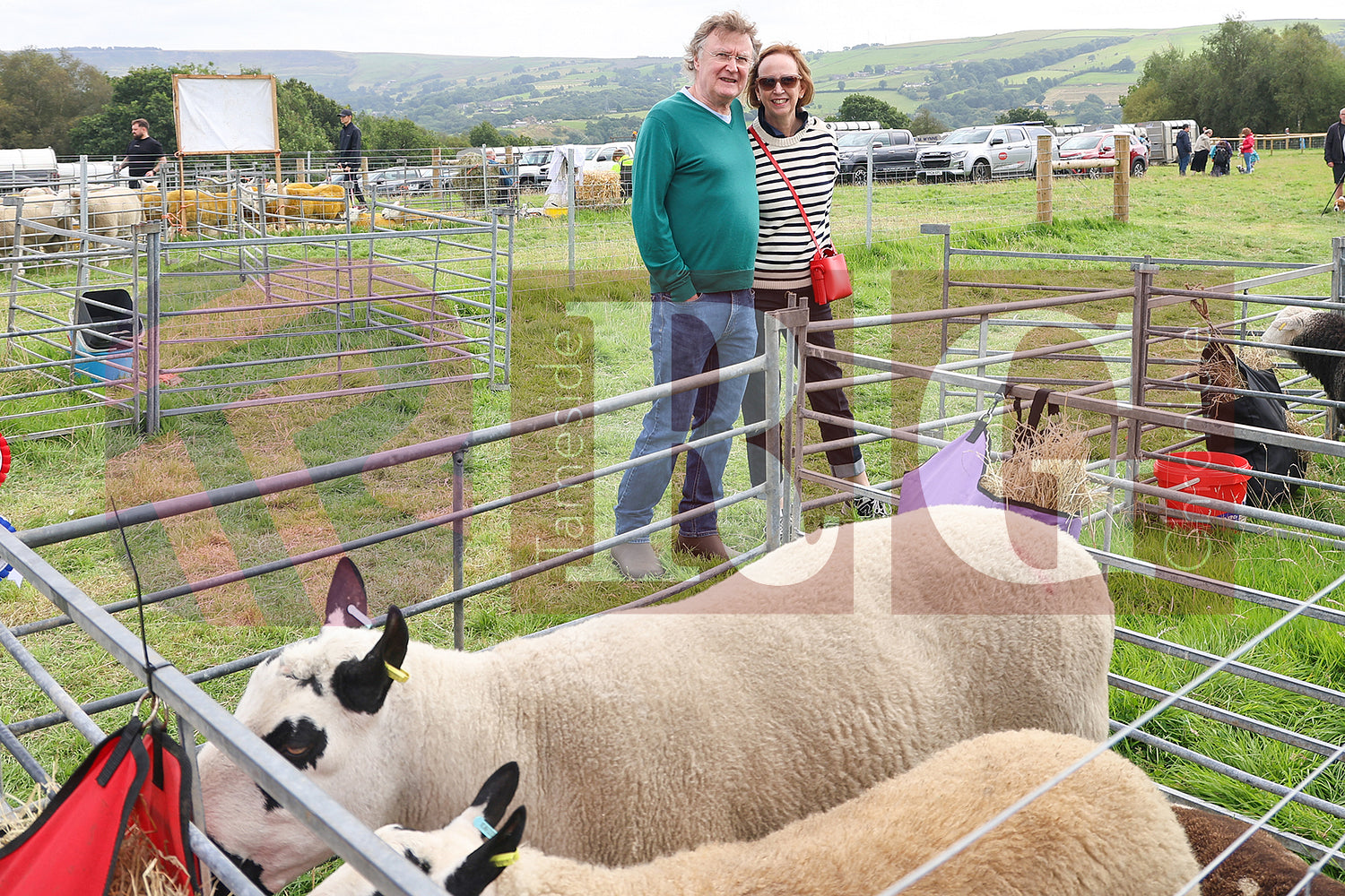 MOTTRAM SHOW 2024 (128).JPG – Digital Photos