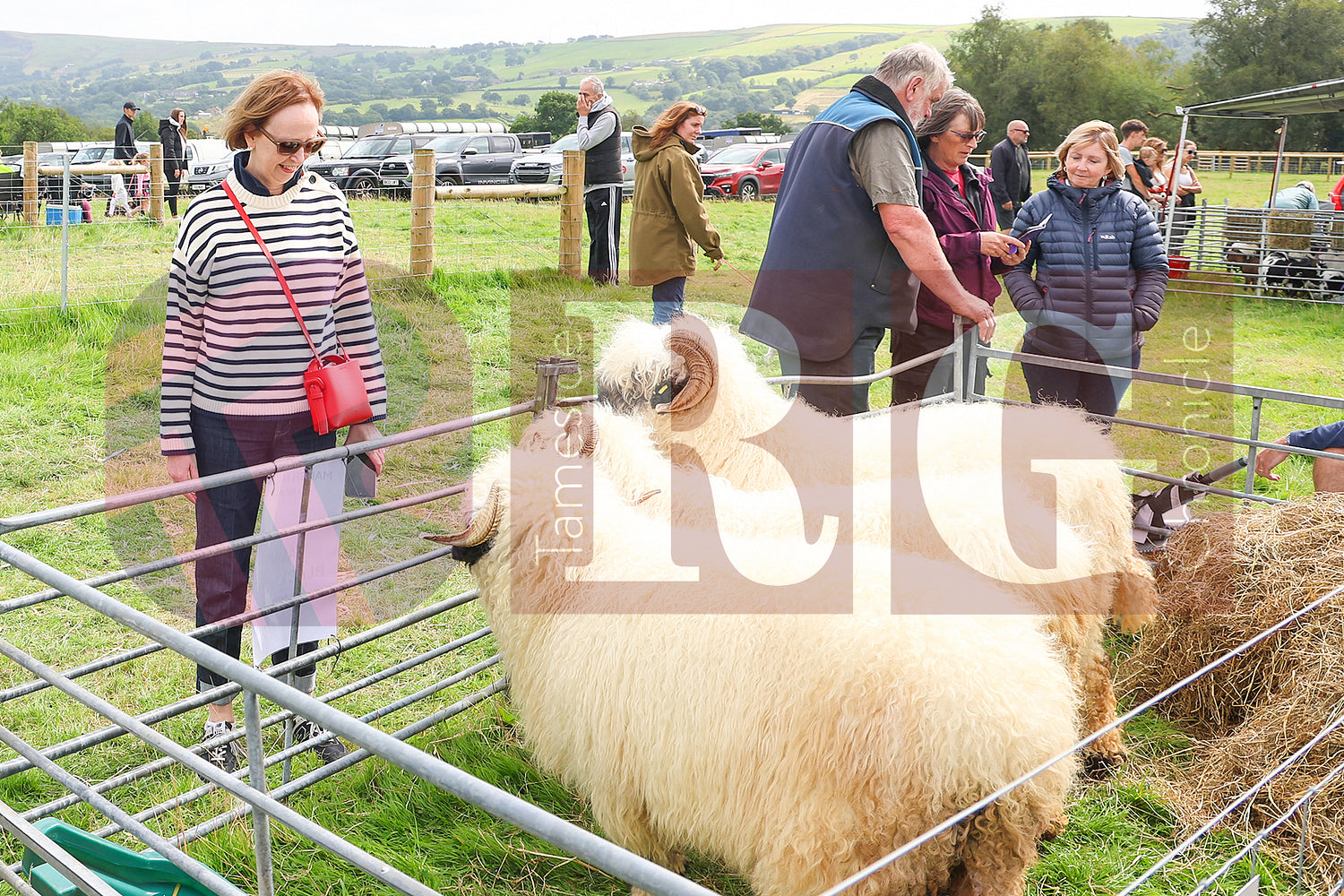 MOTTRAM SHOW 2024 (130).JPG – My Store