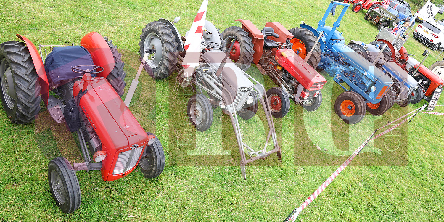 MOTTRAM SHOW 2024 (41).JPG – Digital Photos