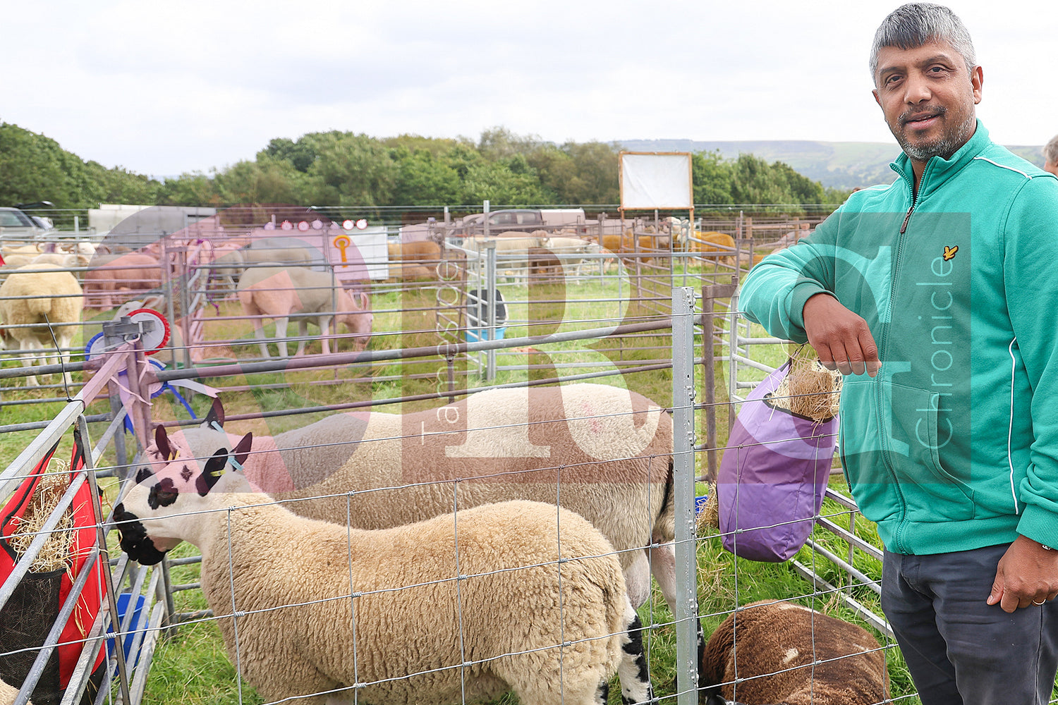 MOTTRAM SHOW 2024 (126).JPG – Digital Photos