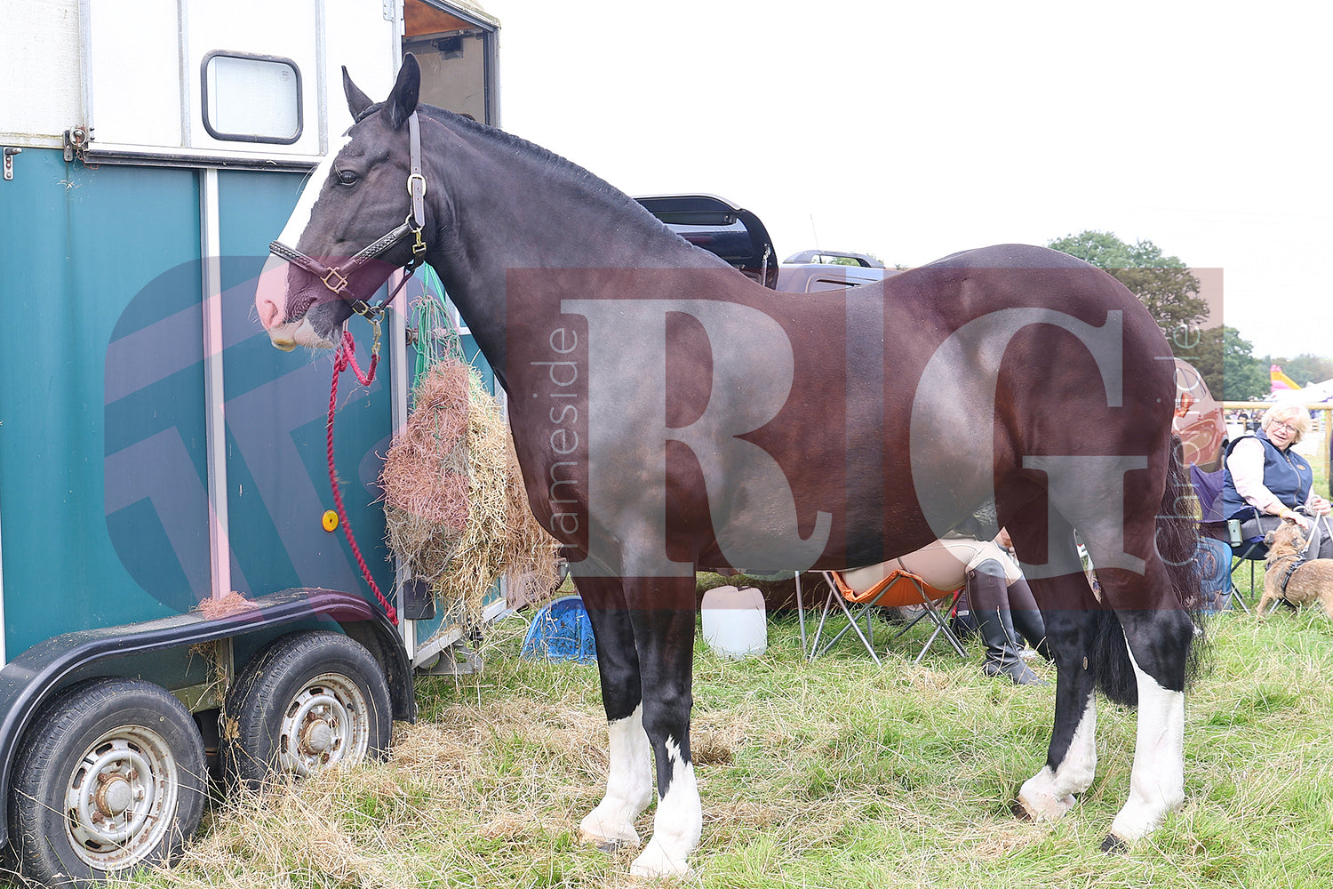 MOTTRAM SHOW 2024 (109).JPG – Digital Photos