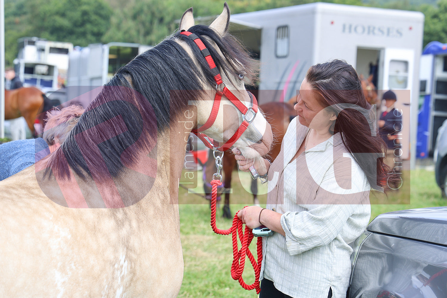 MOTTRAM SHOW 2024 (113).JPG – Digital Photos