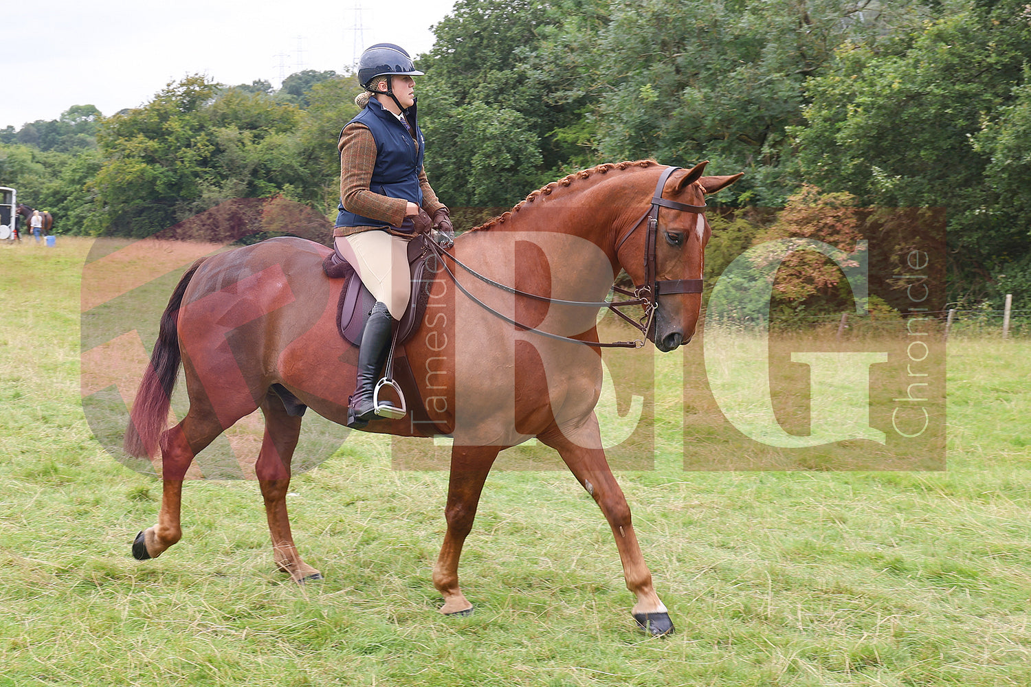 MOTTRAM SHOW 2024 (86).JPG – Digital Photos