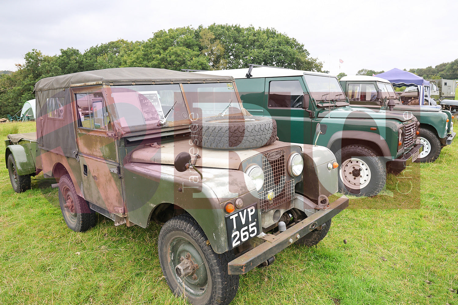 MOTTRAM SHOW 2024 (11).JPG – Digital Photos