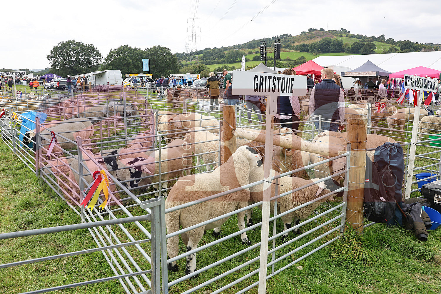 MOTTRAM SHOW 2024 (145).JPG – Digital Photos