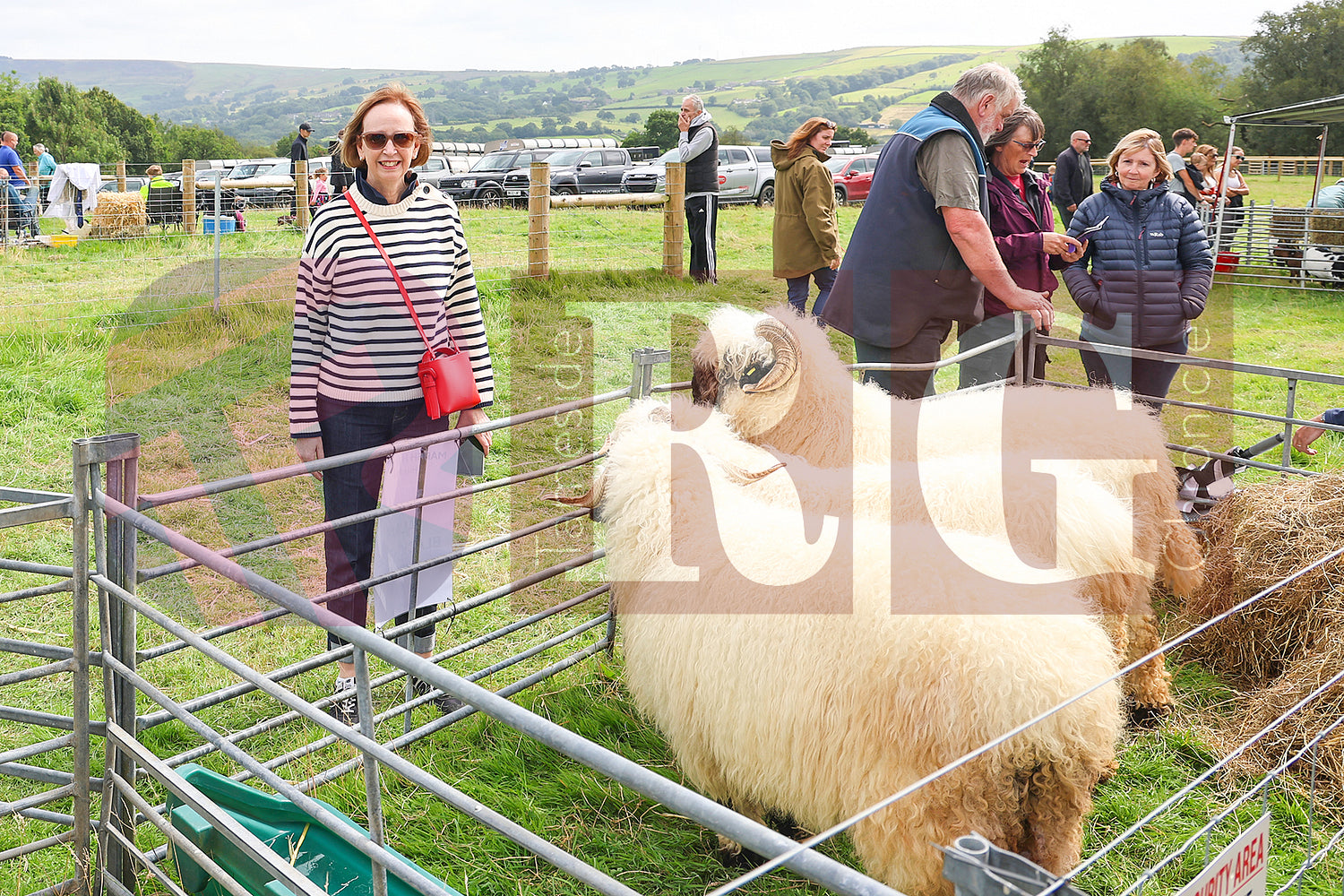 MOTTRAM SHOW 2024 (131).JPG – Digital Photos