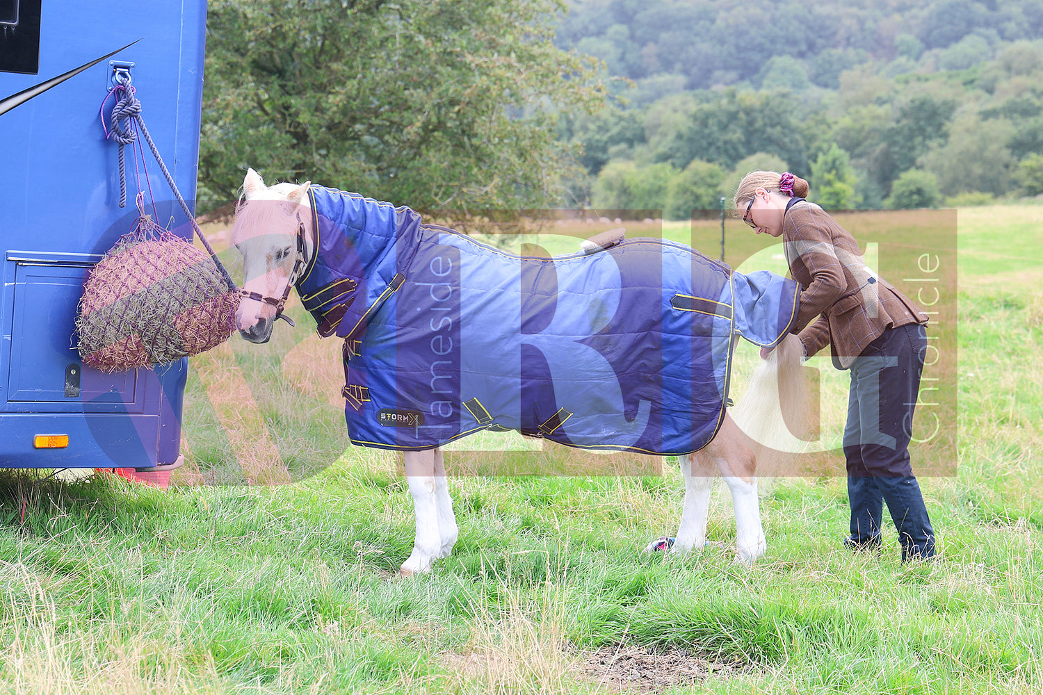 MOTTRAM SHOW 2024 (101).JPG – Digital Photos