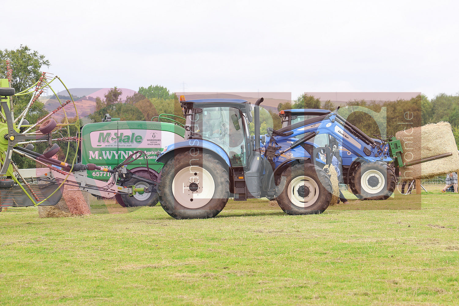 MOTTRAM SHOW 2024 (148).JPG – Digital Photos